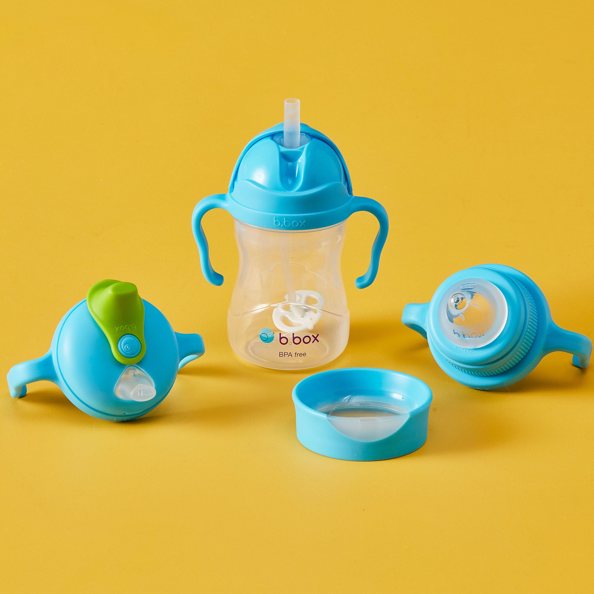 b.box Transition Value Pack